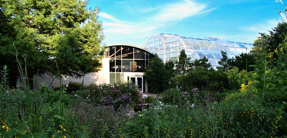 Things to Do at The Butterfly House
