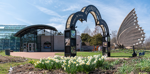 Featured Attractions