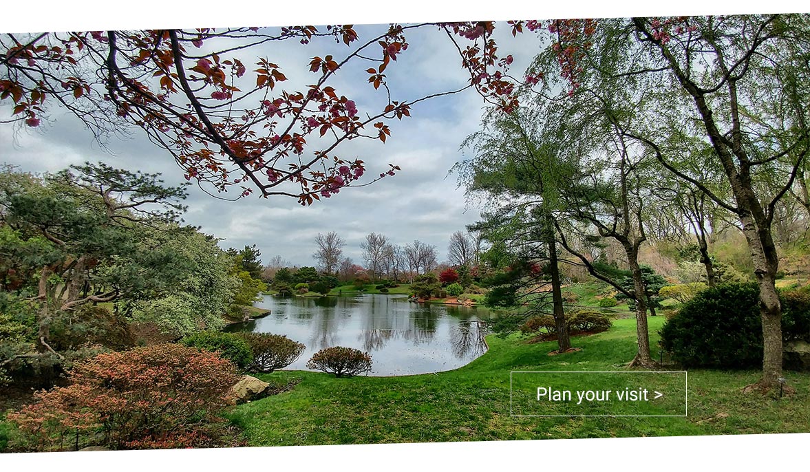 Missouri Botanical Garden